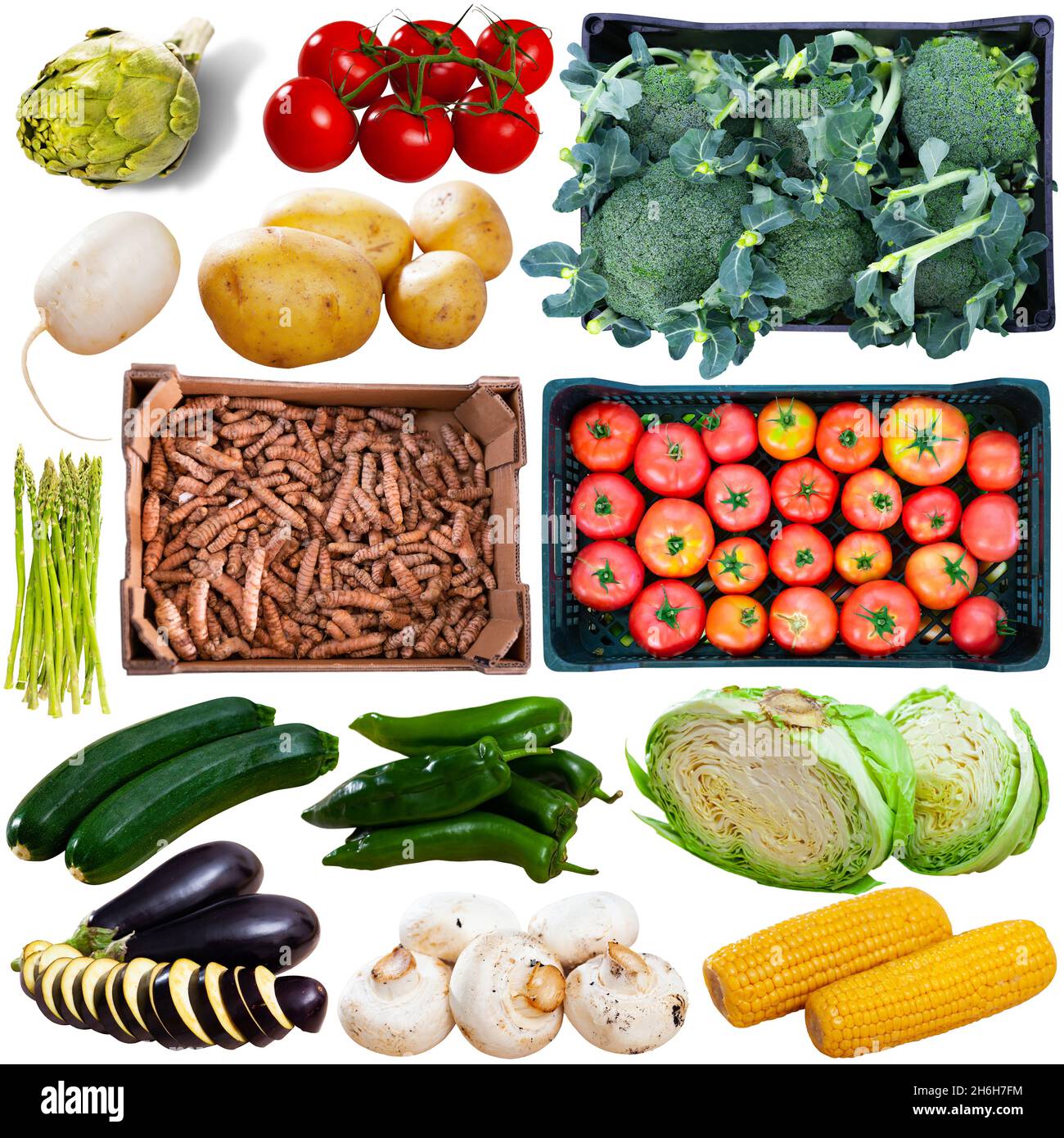 Collection of various vegetables isolated on white background Stock ...