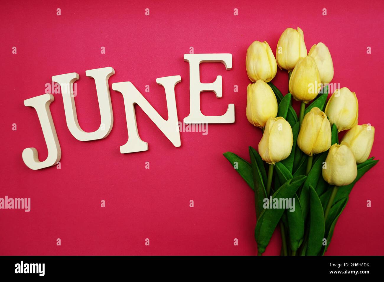 June alphabet letter and tulip flower with space copy on pink ...