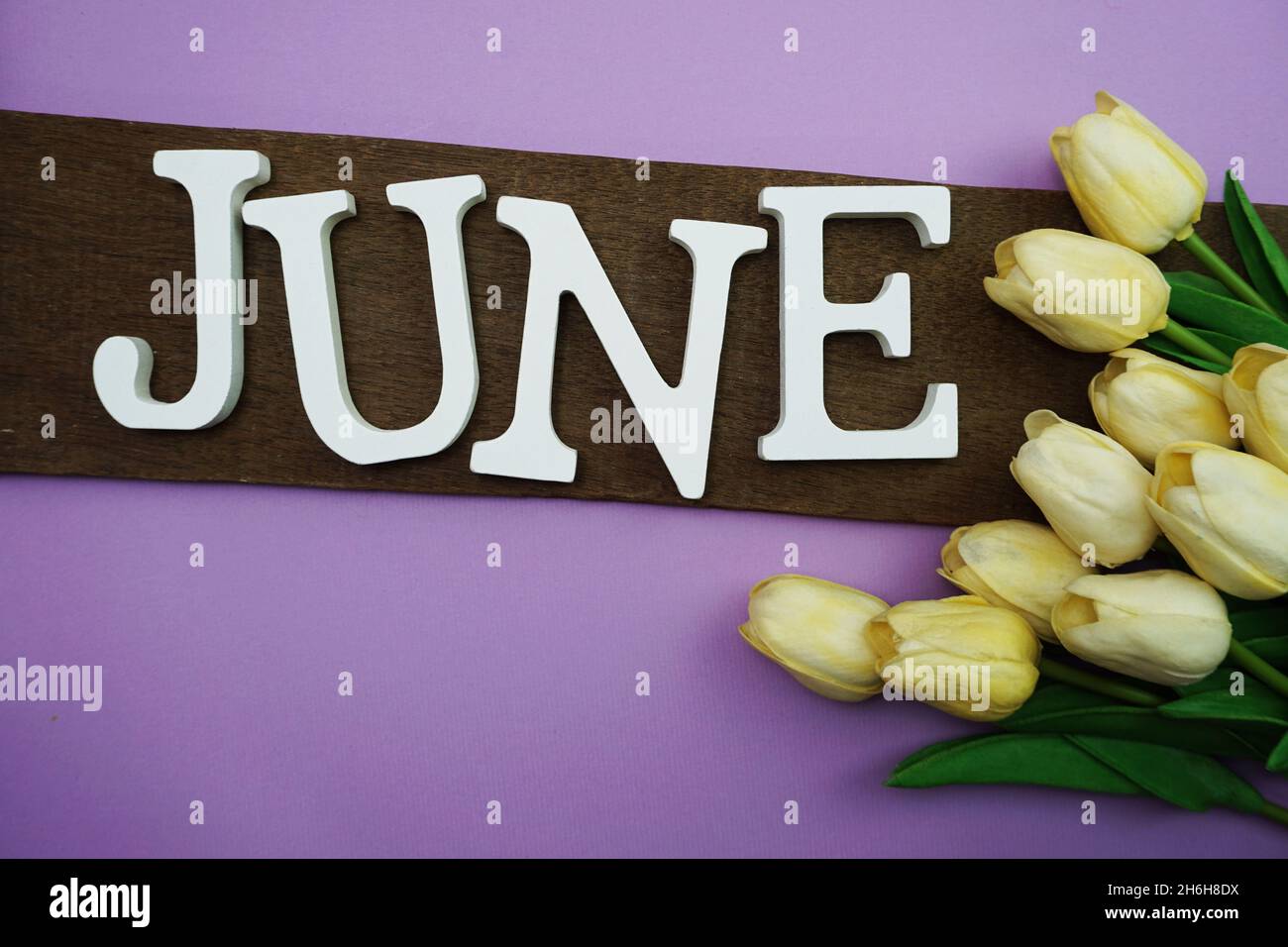 June alphabet letter and tulip flower with space copy on purple ...