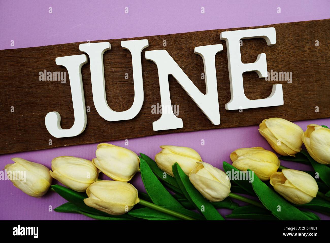 June alphabet letter and tulip flower with space copy on purple ...