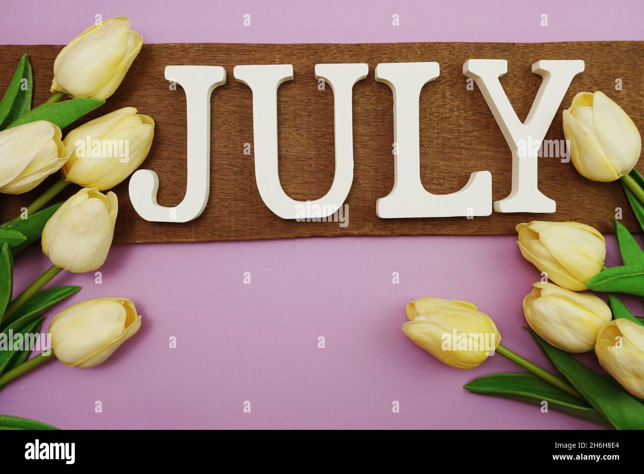 July alphabet letter and tulip flower with space copy on purple ...