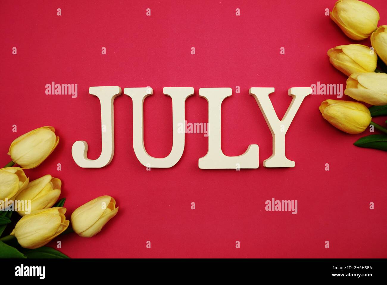 July alphabet letter and tulip flower with space copy on pink ...