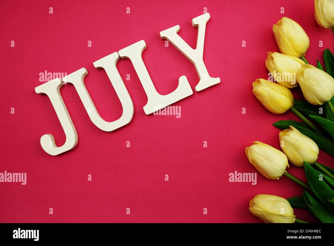 July alphabet letter and tulip flower with space copy on pink ...