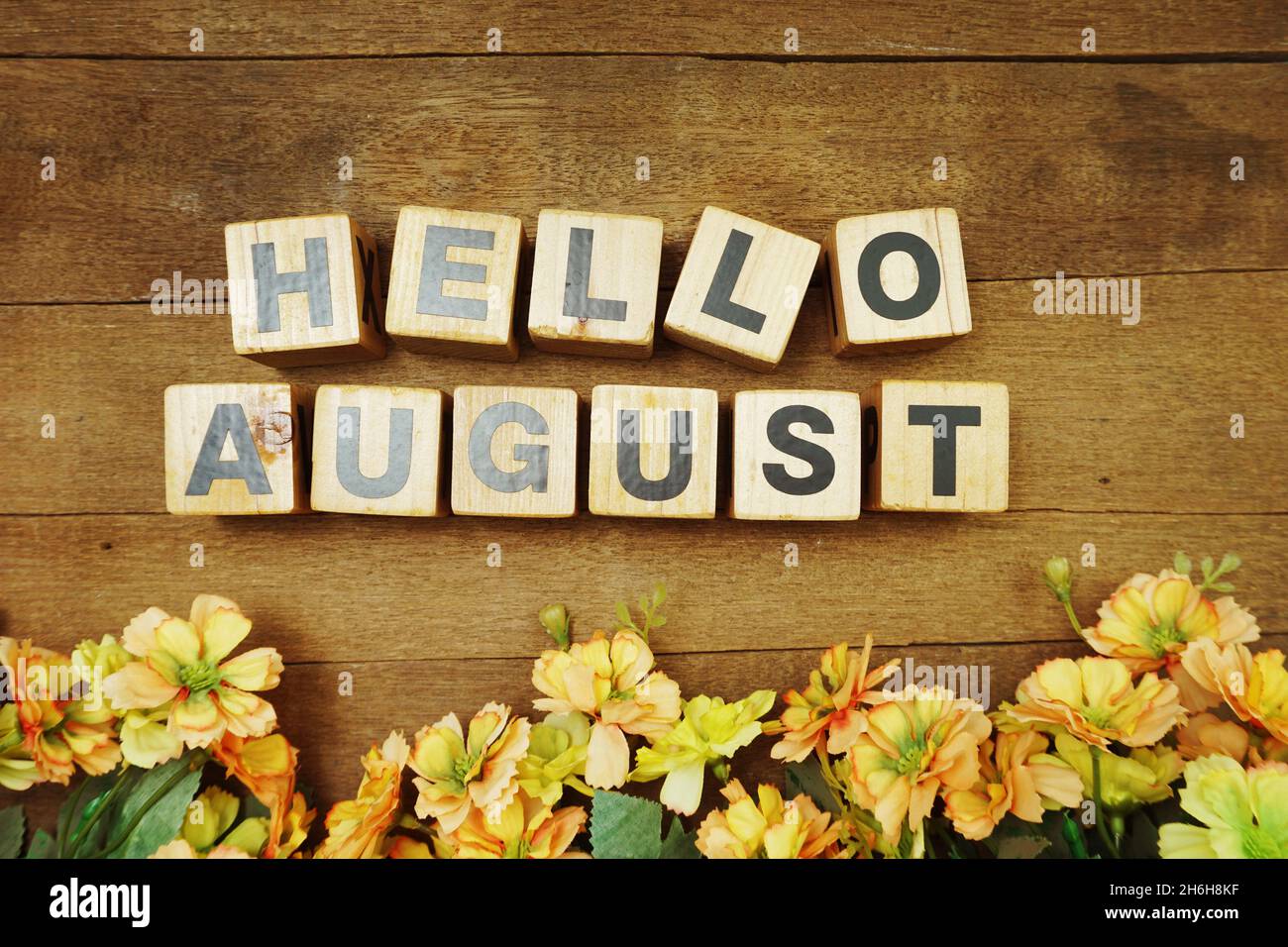 Hello August Photography