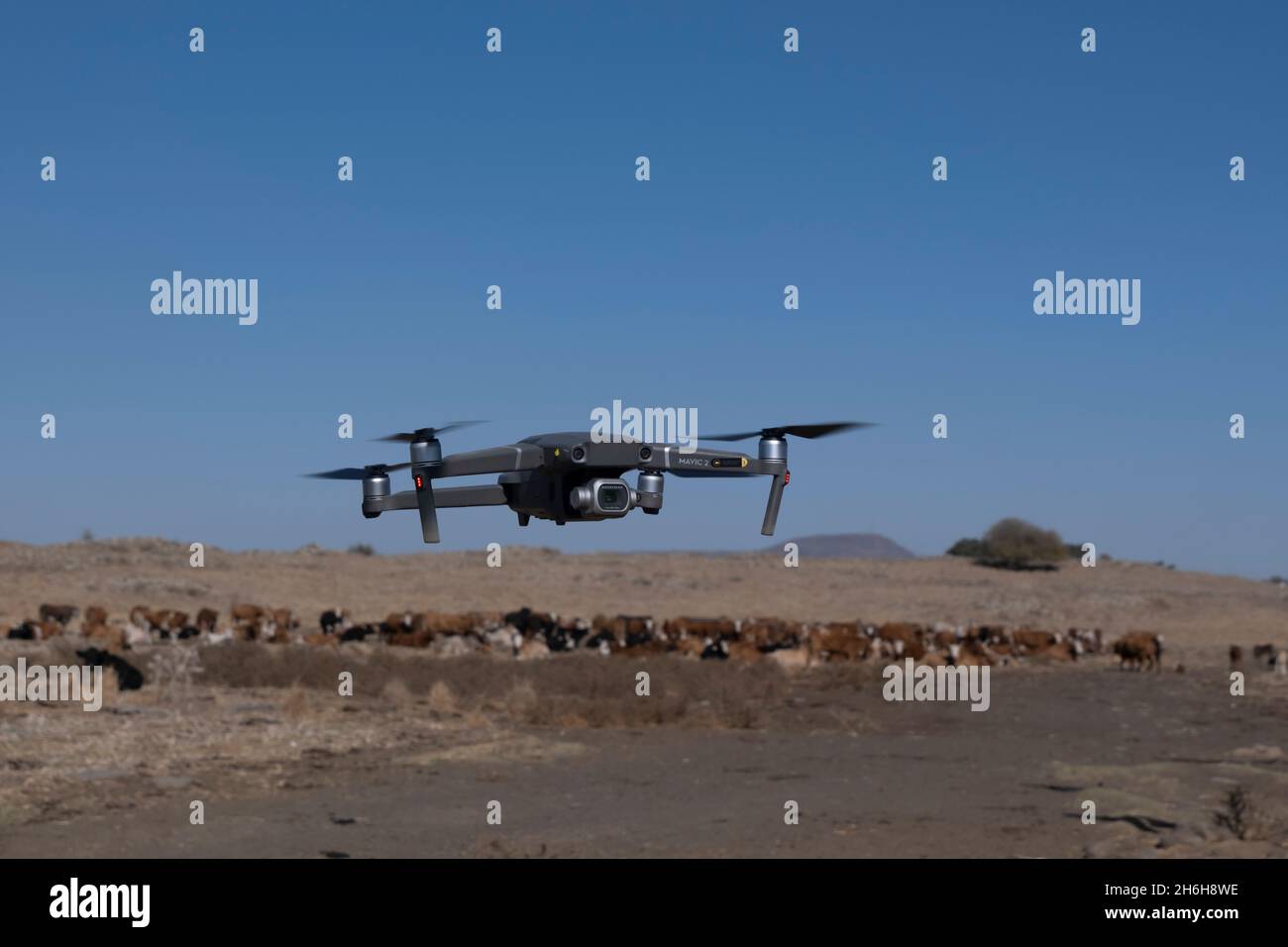 Drone herding hi-res stock photography and images - Alamy