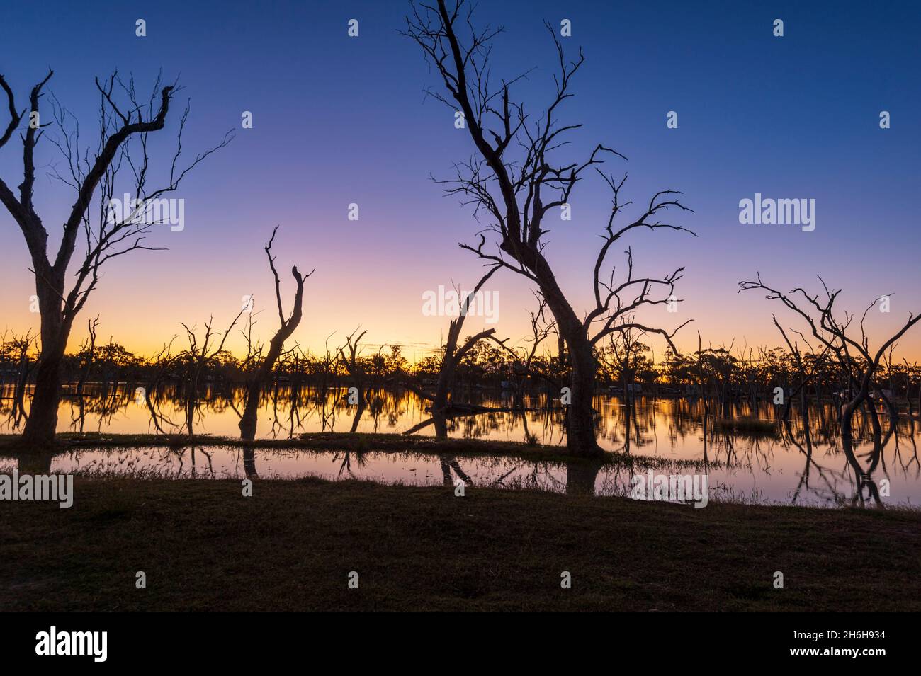 Spectacular sunset with trees reflected in the water at Lara Wetlands ...