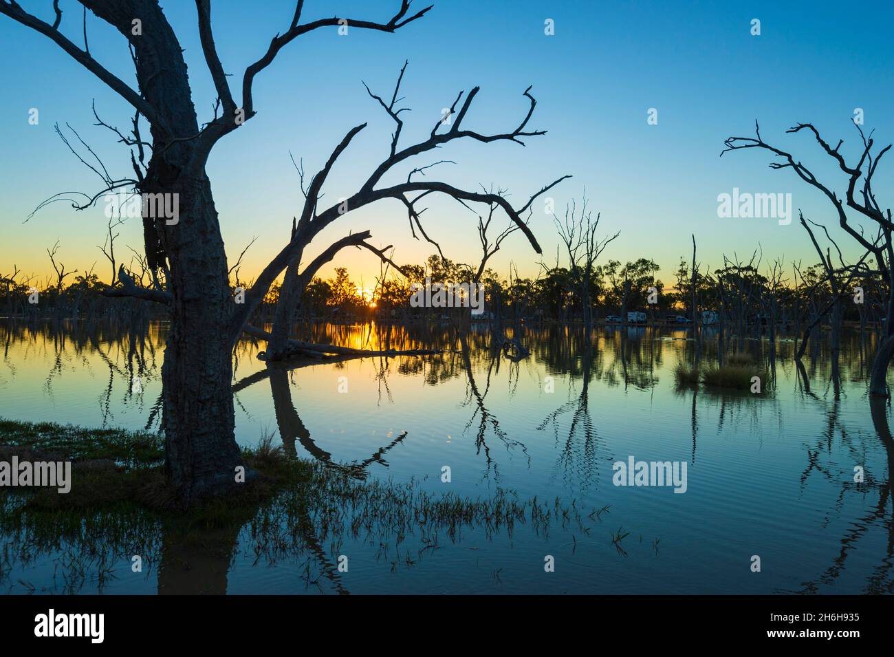 Sun on the horizon at sunset with trees reflected in the water at Lara ...