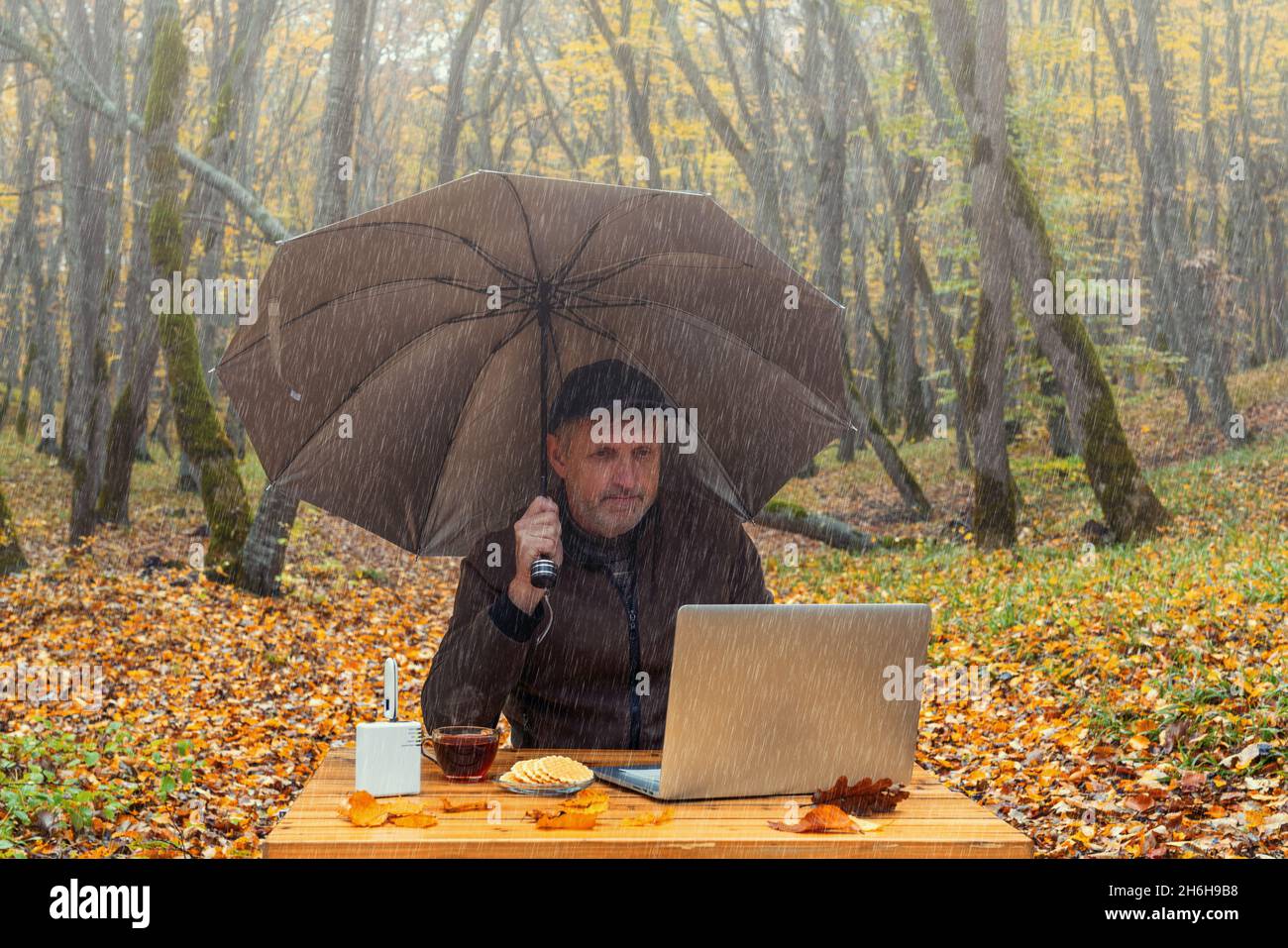 Laptop in the forest hi-res stock photography and images - Alamy