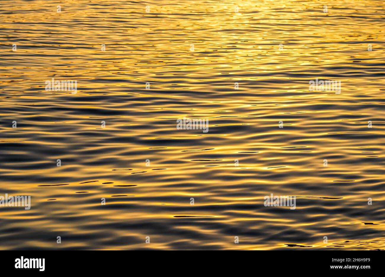 Golden sea waves in sunset glow as surface background. Summer holidays ...