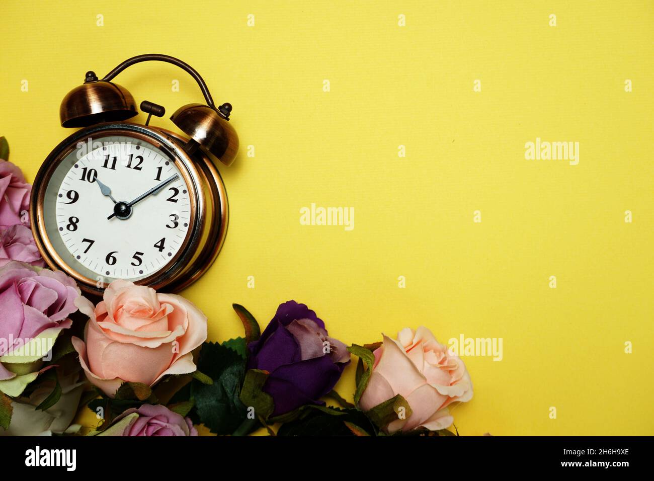 Alarm clock with Rose flower bouquet on yellow background Stock Photo ...