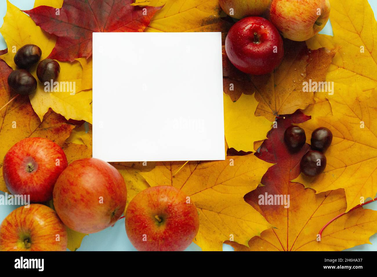 Autumn composition with apples, chestnuts, maple leaves, and paper for ...