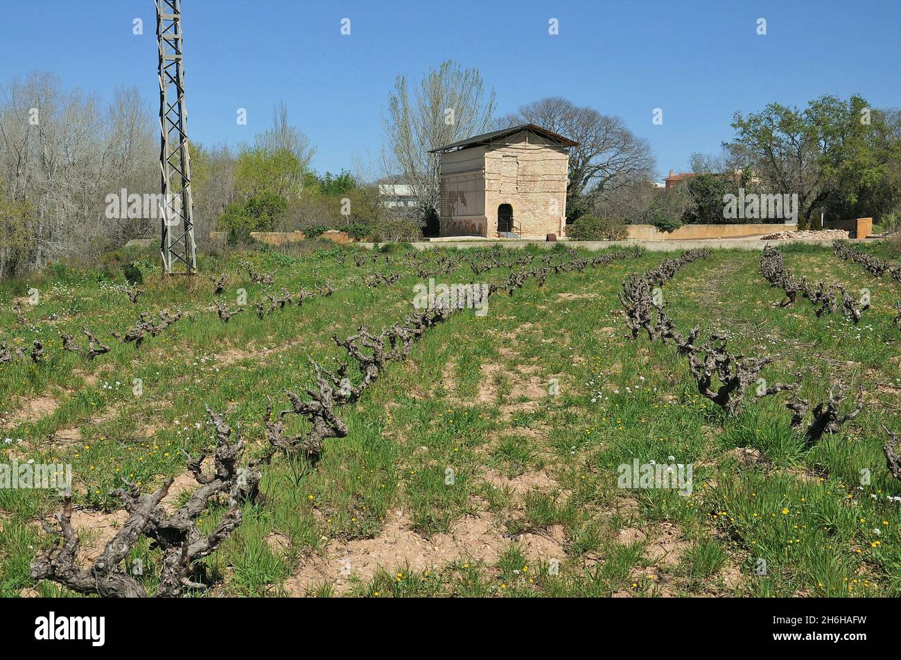 Roman columbarium hi-res stock photography and images - Alamy