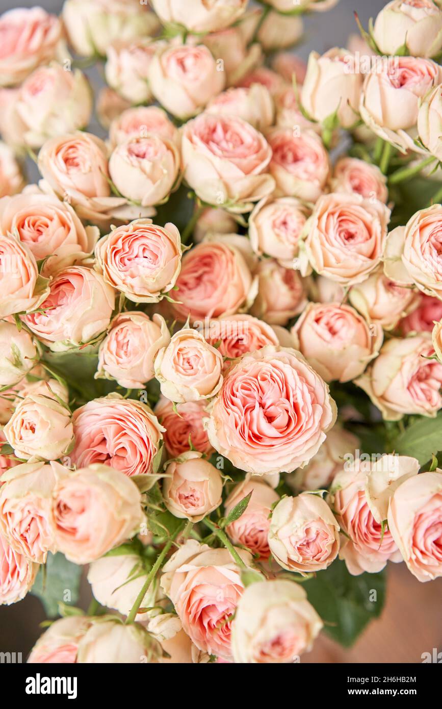 Floral carpet, flower texture, shop concept. Beautiful fresh blossoming ...