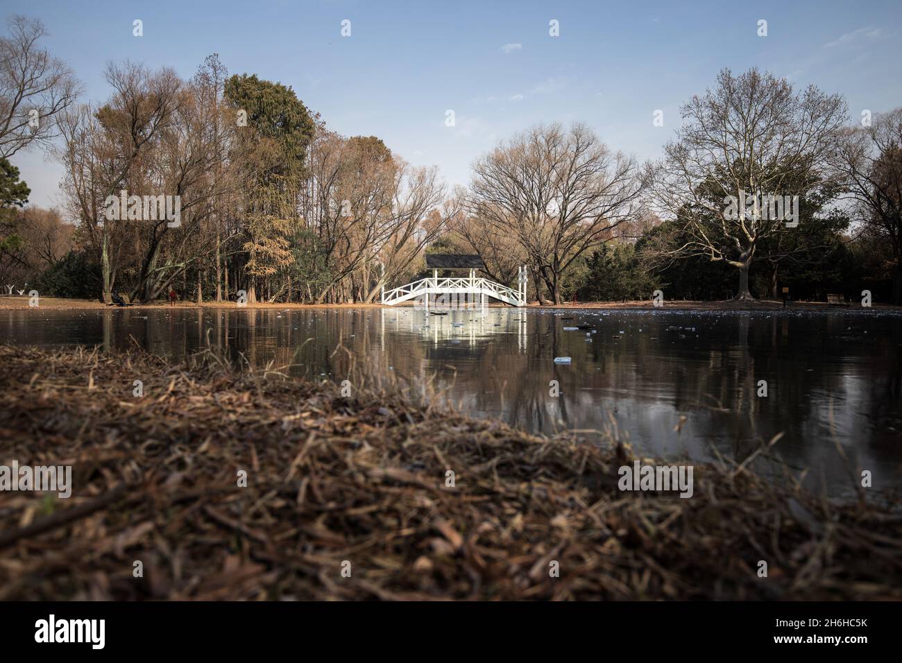 Autumn in shanghai hi-res stock photography and images - Alamy