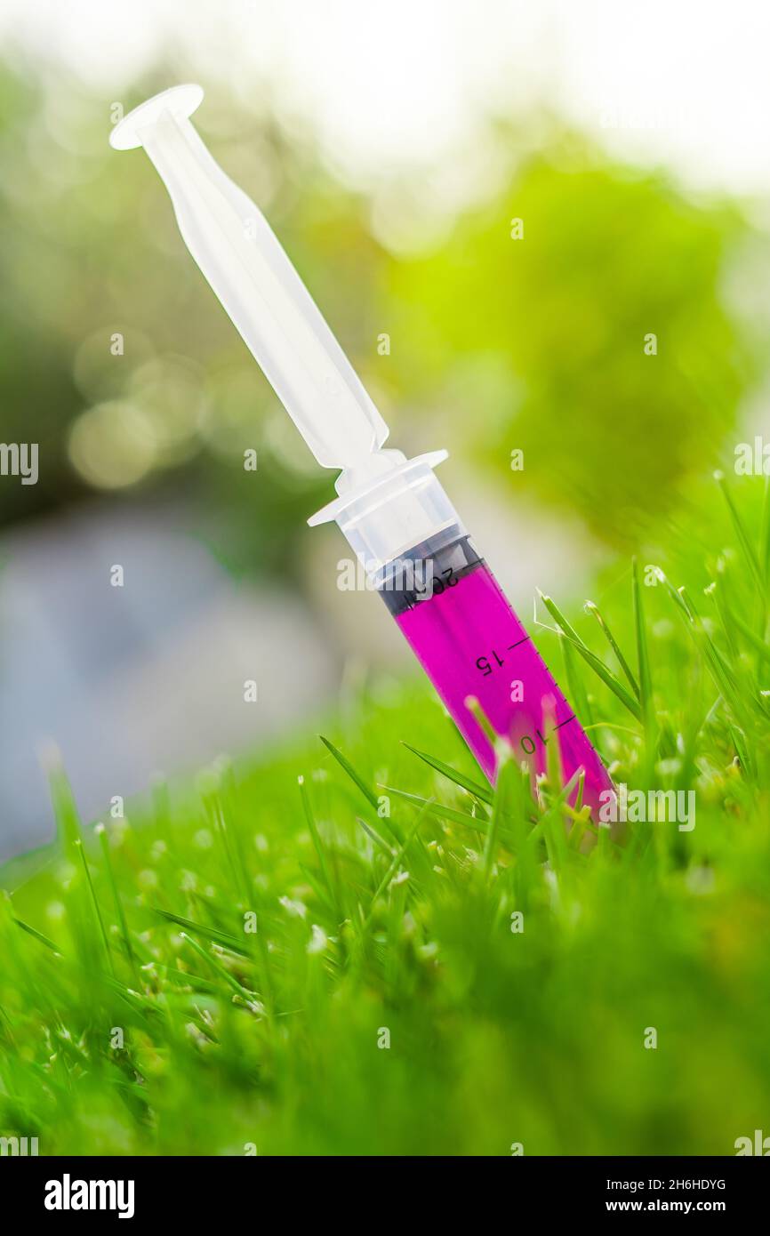 A syringe with a poisonous liquid is stuck into a bright saturated ...