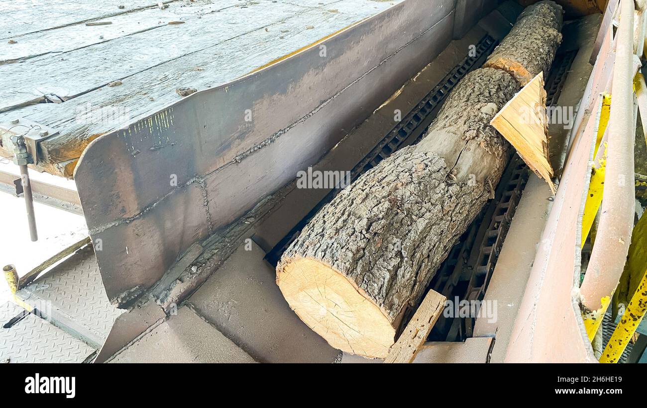 Large logs lie in an old woodworking factory Stock Photo - Alamy