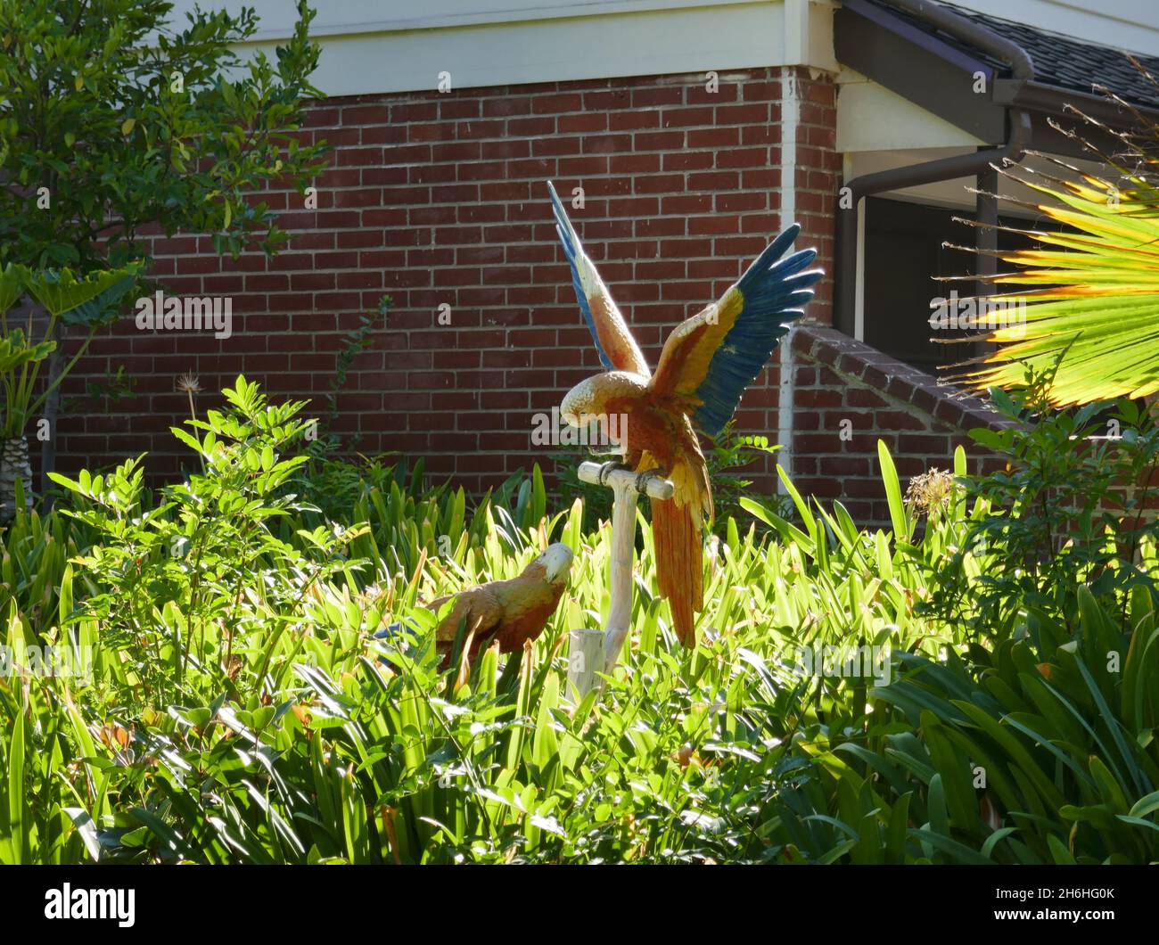 Parrot sculpture hi-res stock photography and images - Alamy