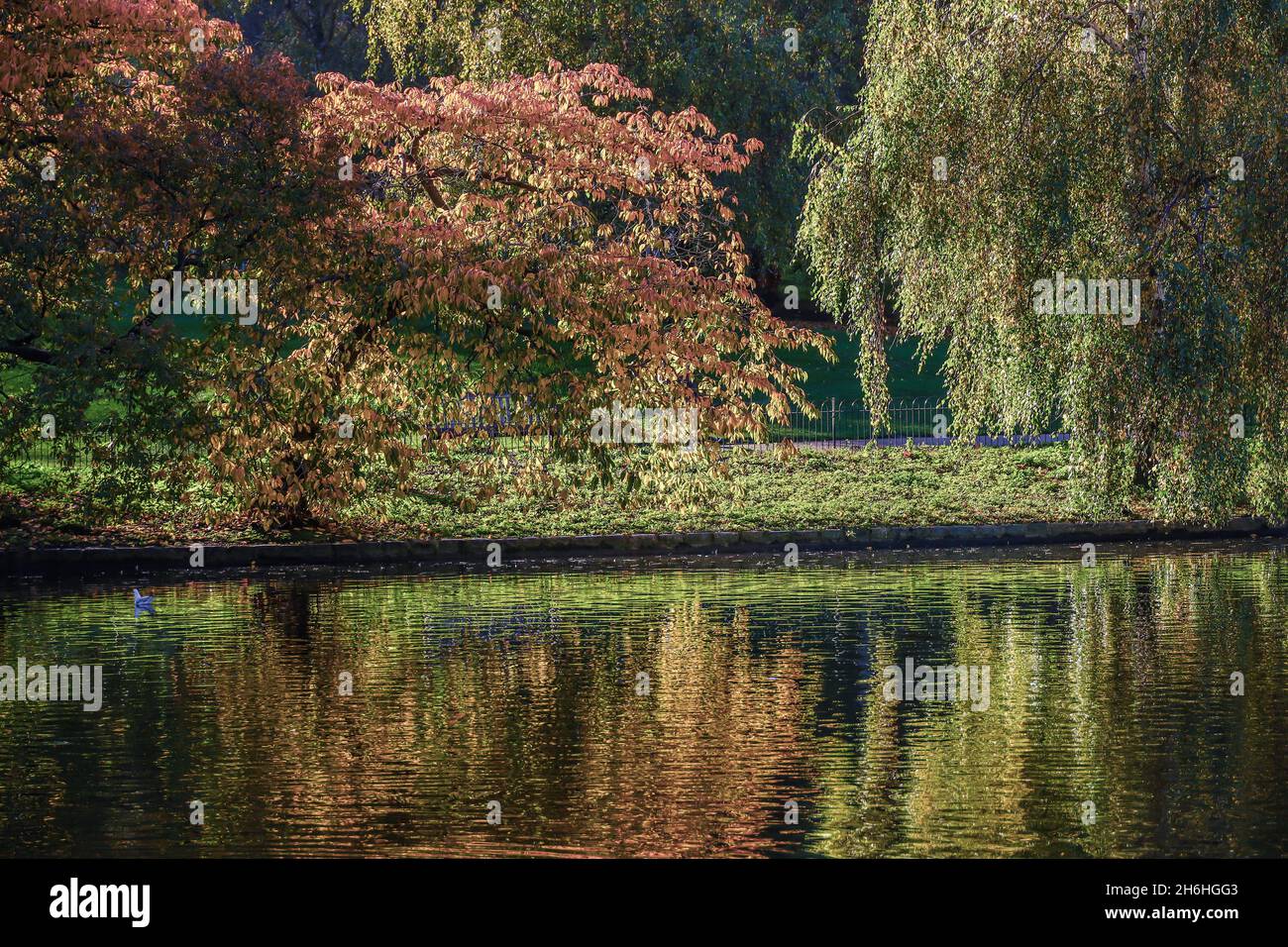 Autumn nature in St. James Park London Stock Photo - Alamy