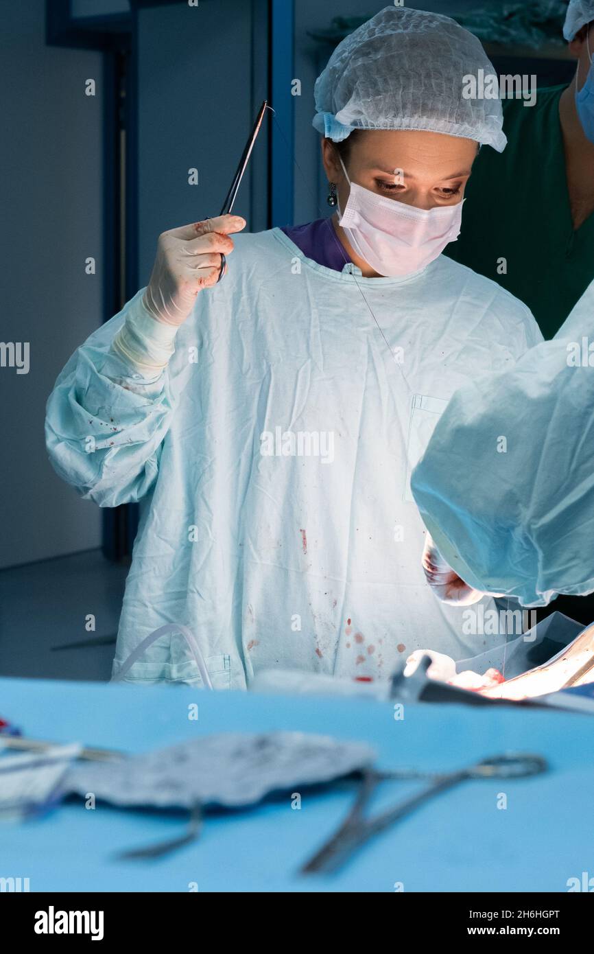 A female surgeon sutures a patient's skin with a surgical thread during ...