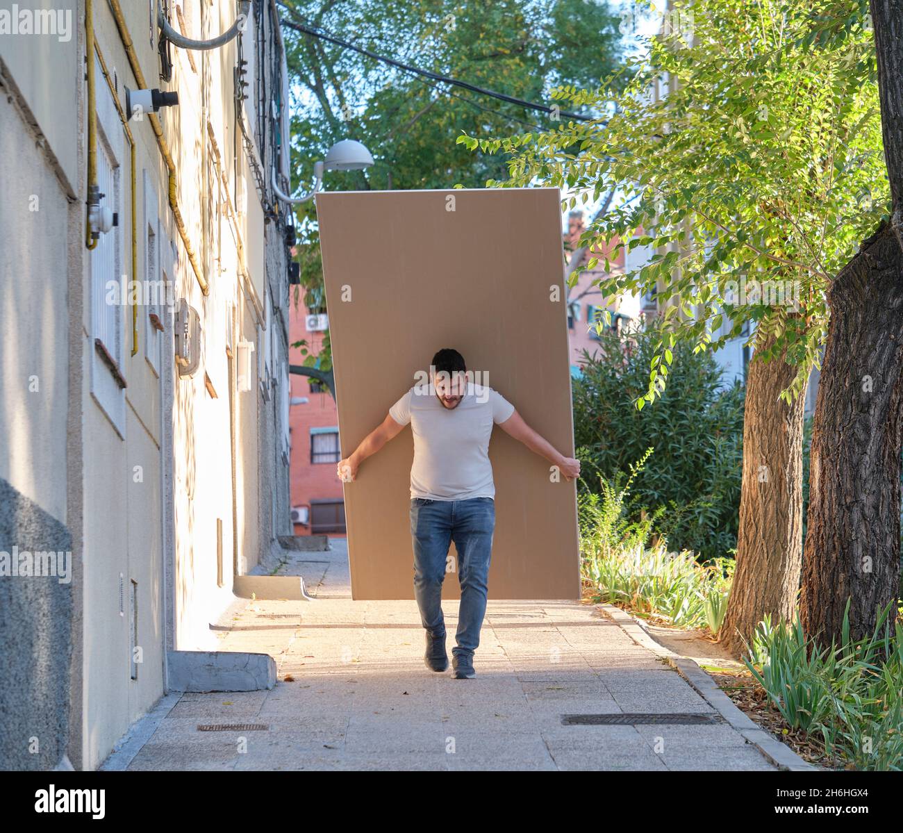 Young contractor carrying plasterboard sheets Stock Photo - Alamy