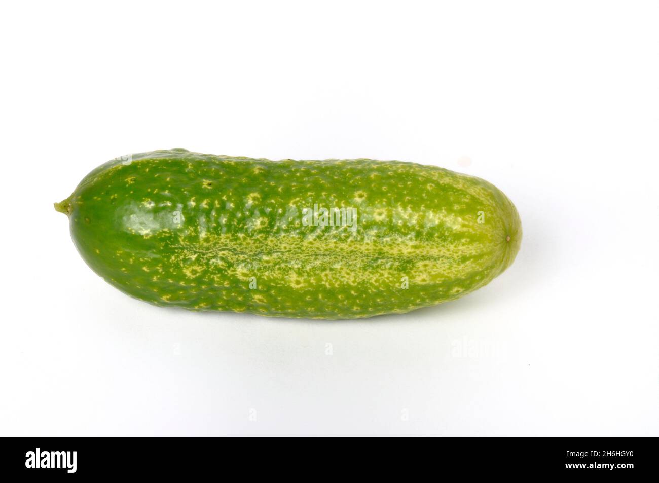 Small cucumber on a white background Stock Photo - Alamy