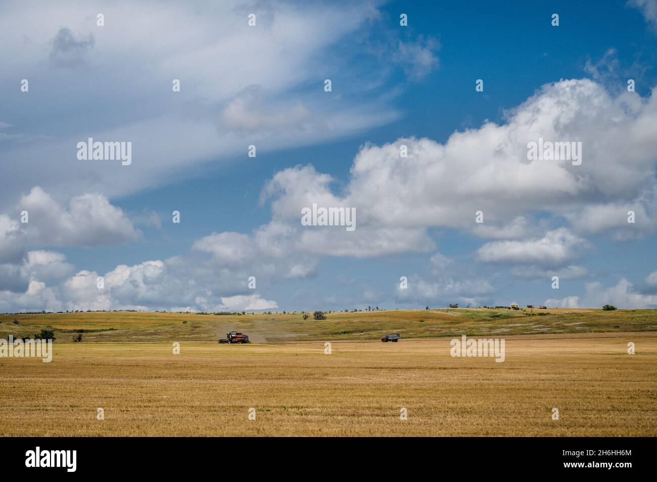 Beautiful landscape. Agricultural machinery. Harvester is working in ...