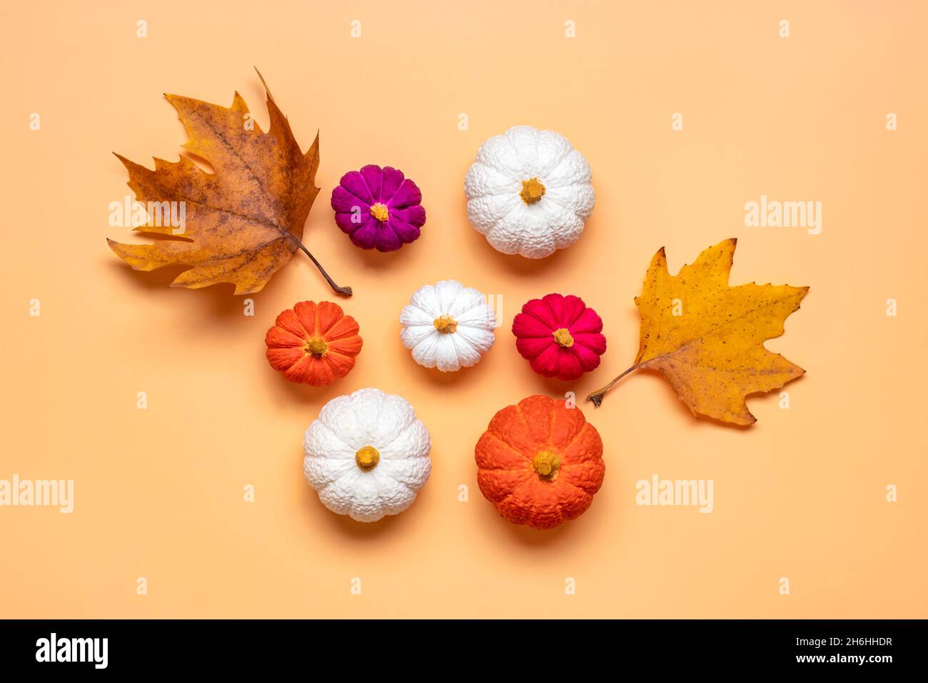 Orange, white, orange pumpkin and maple leaves isolated on beige ...