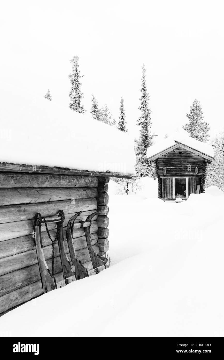 Old sled slides standing against wooden wall Stock Photo - Alamy