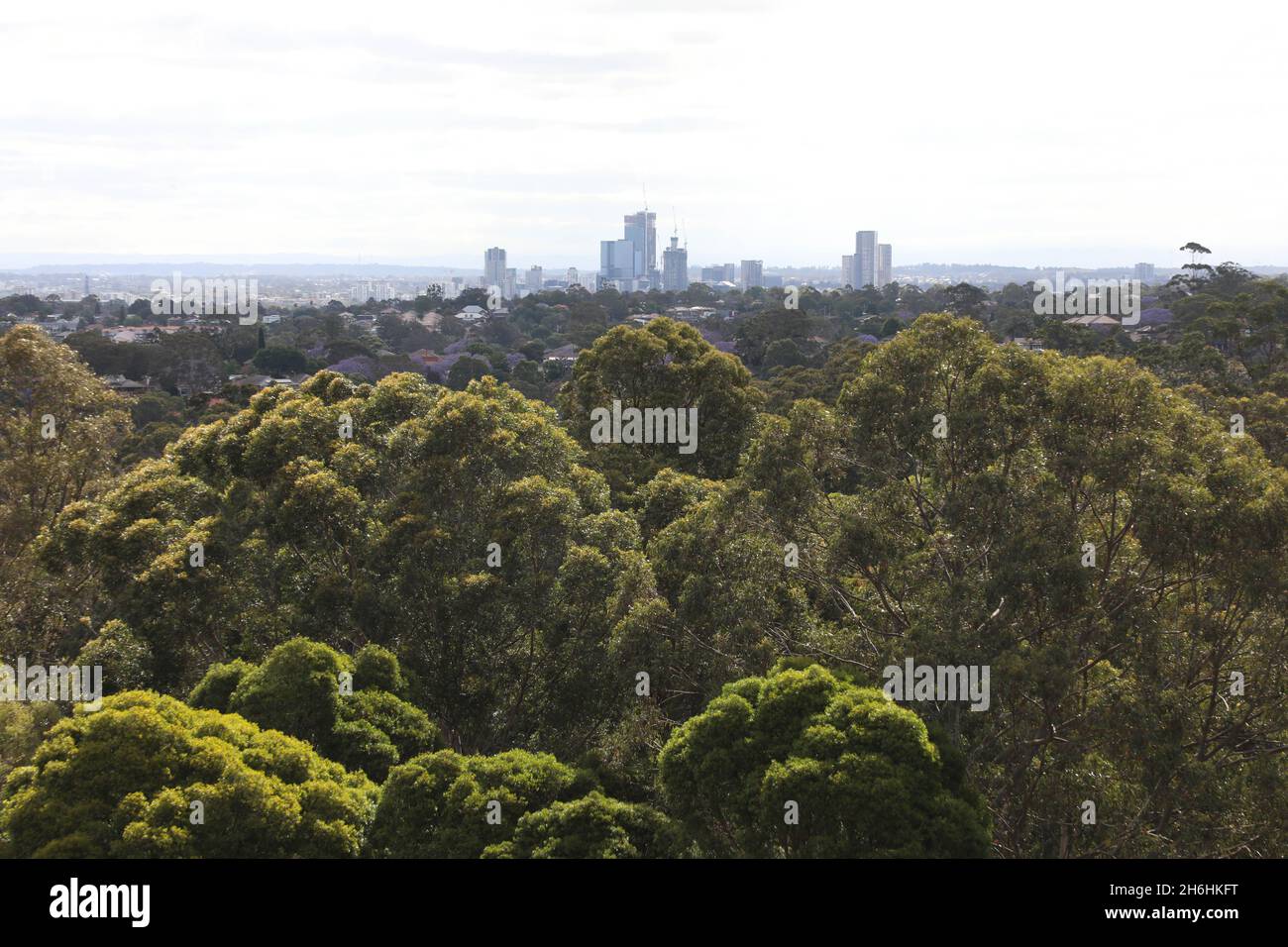 Denistone hi-res stock photography and images - Alamy