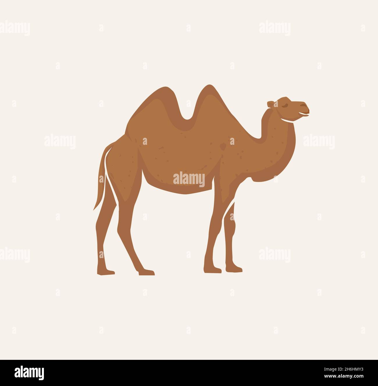 illustration of arabic camel animal on white background vector Stock ...