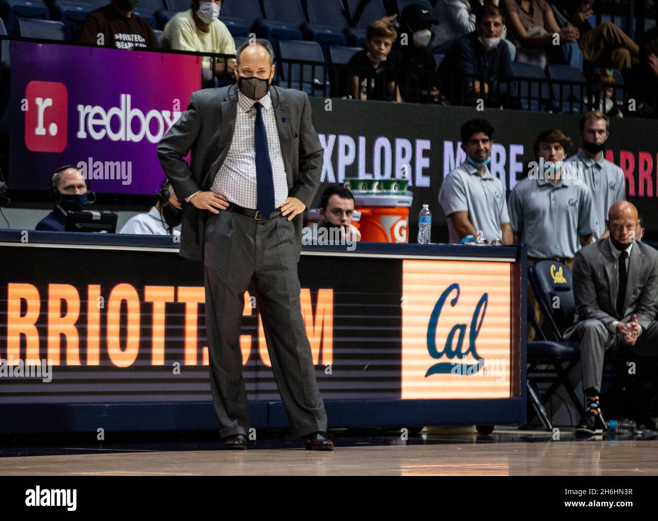 November 15 2021 Berkeley, CA U.S.A. California head coach Mark Fox ...