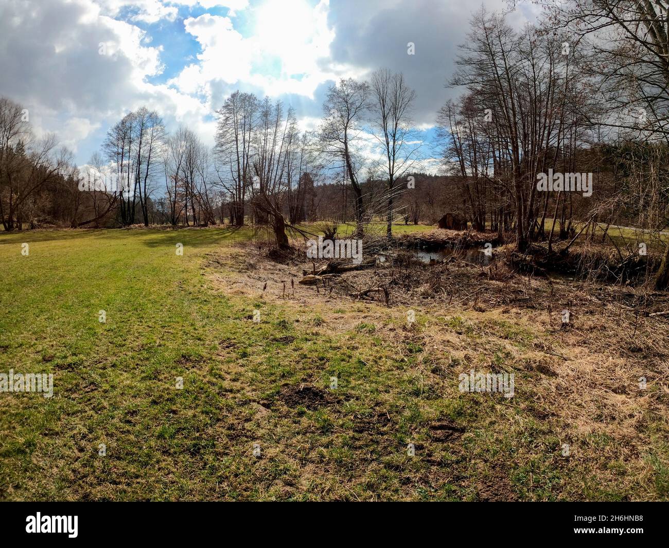 Super wide angle shots with action cam of forest and meadow in spring ...