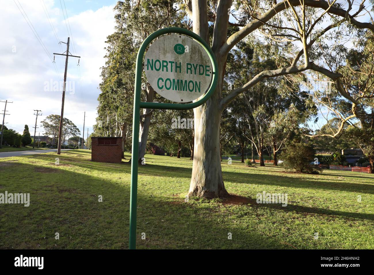 North Ryde Common, Wicks Road, North Ryde NSW 2113 Stock Photo - Alamy