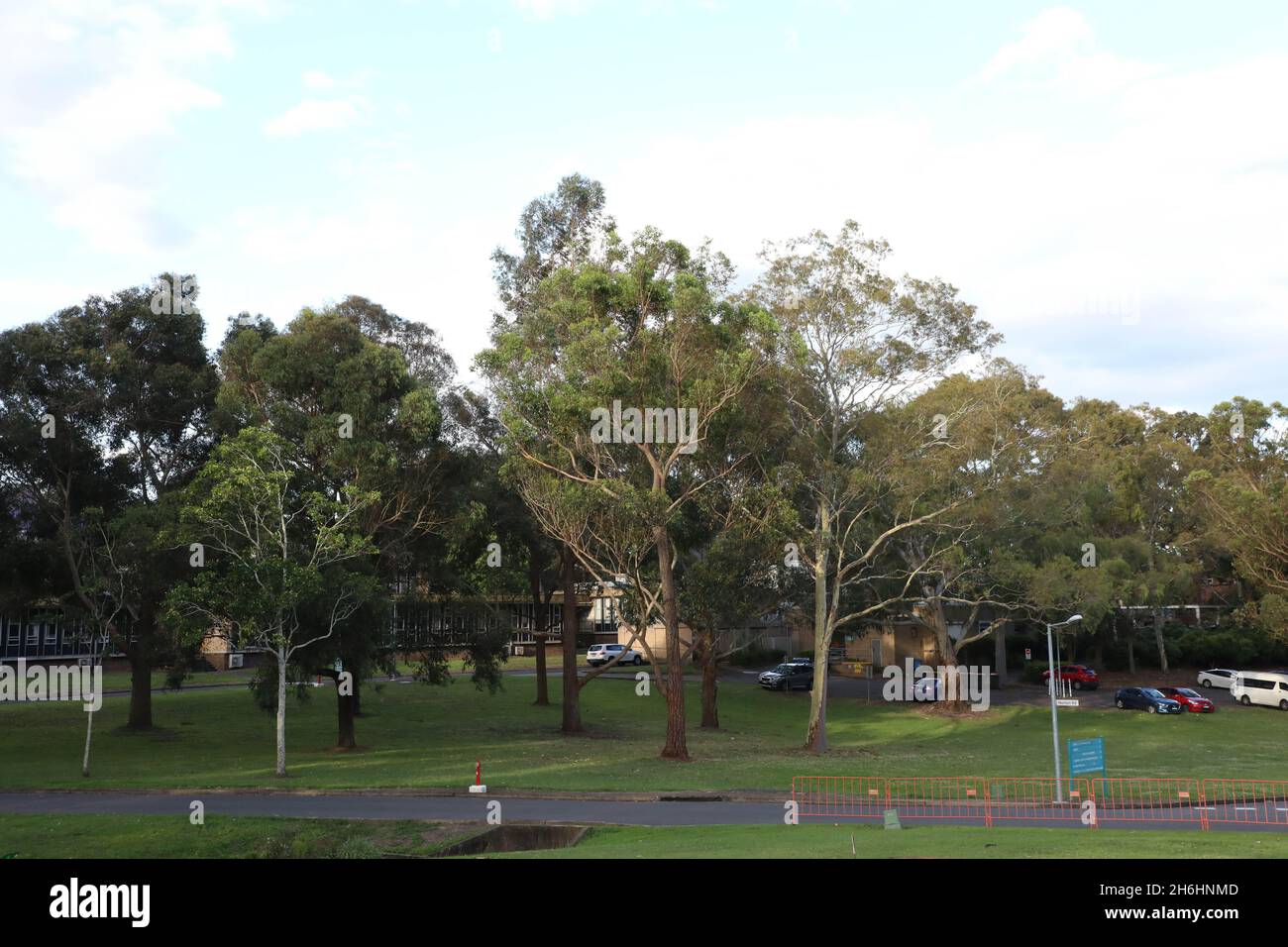Macquarie Hospital, North Ryde NSW 2113 Stock Photo - Alamy