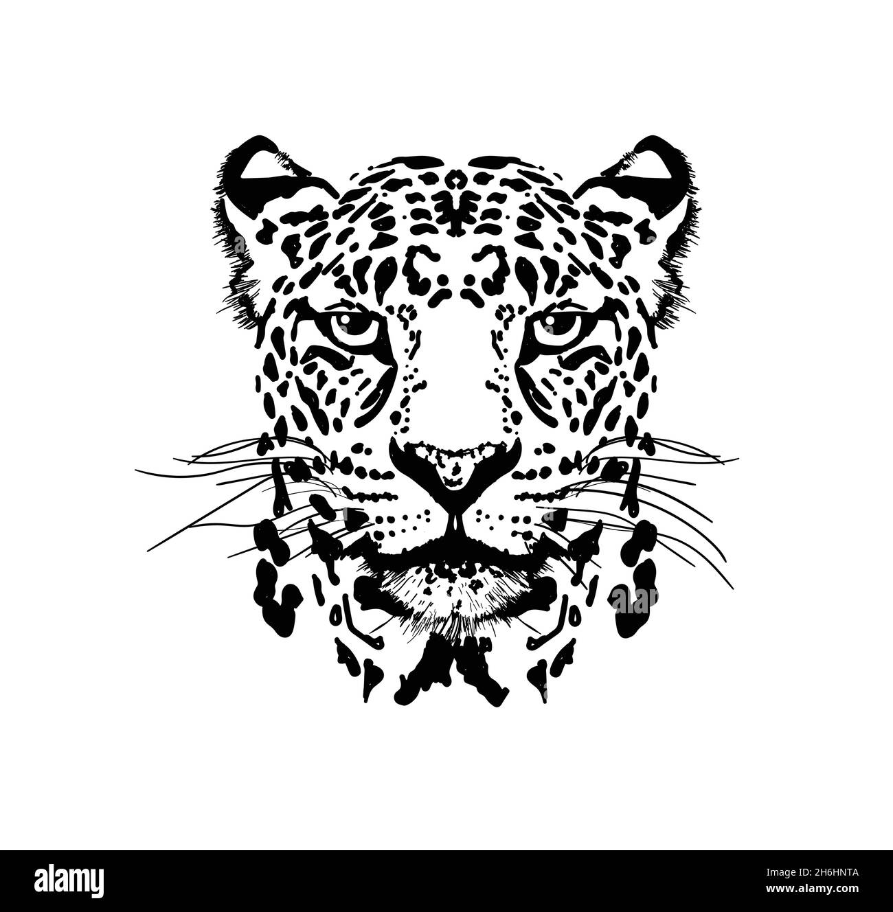 Leopard Head Vector