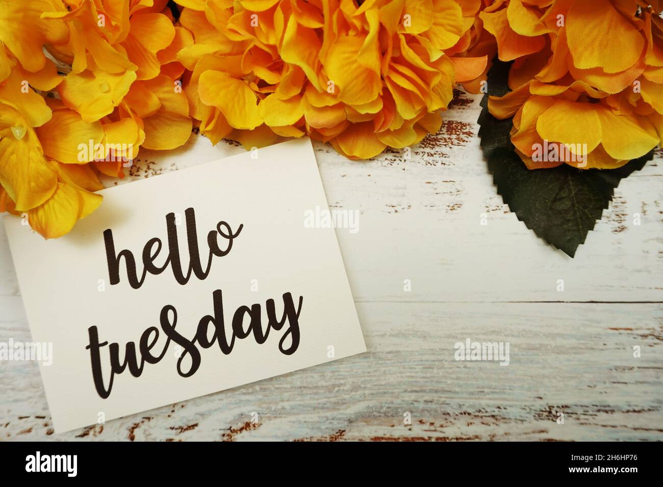Hello Tuesday Card with Blooming flower on wooden background Stock ...