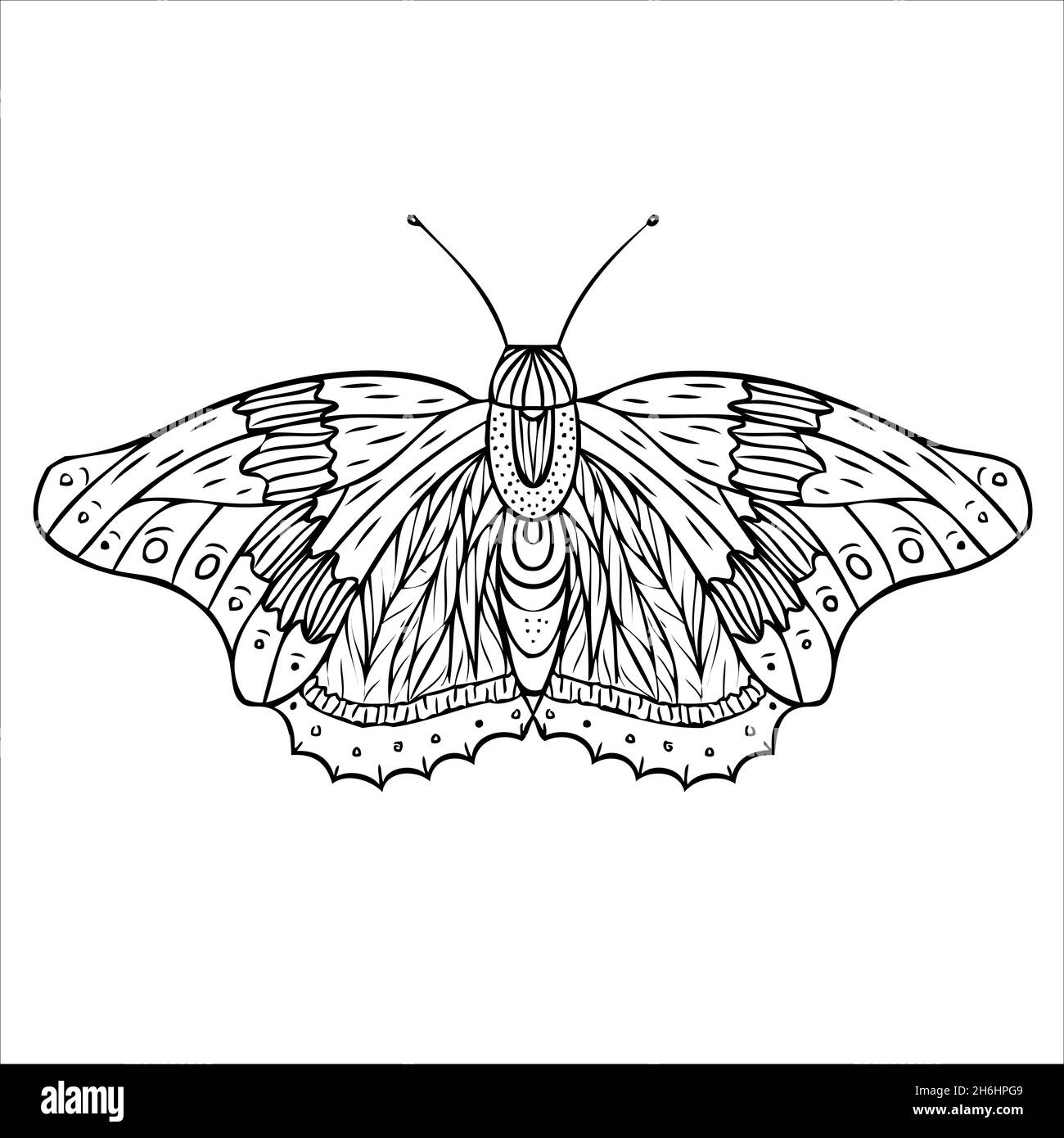 Night butterfly, moths. Hand drawn vector illustration Stock Vector ...