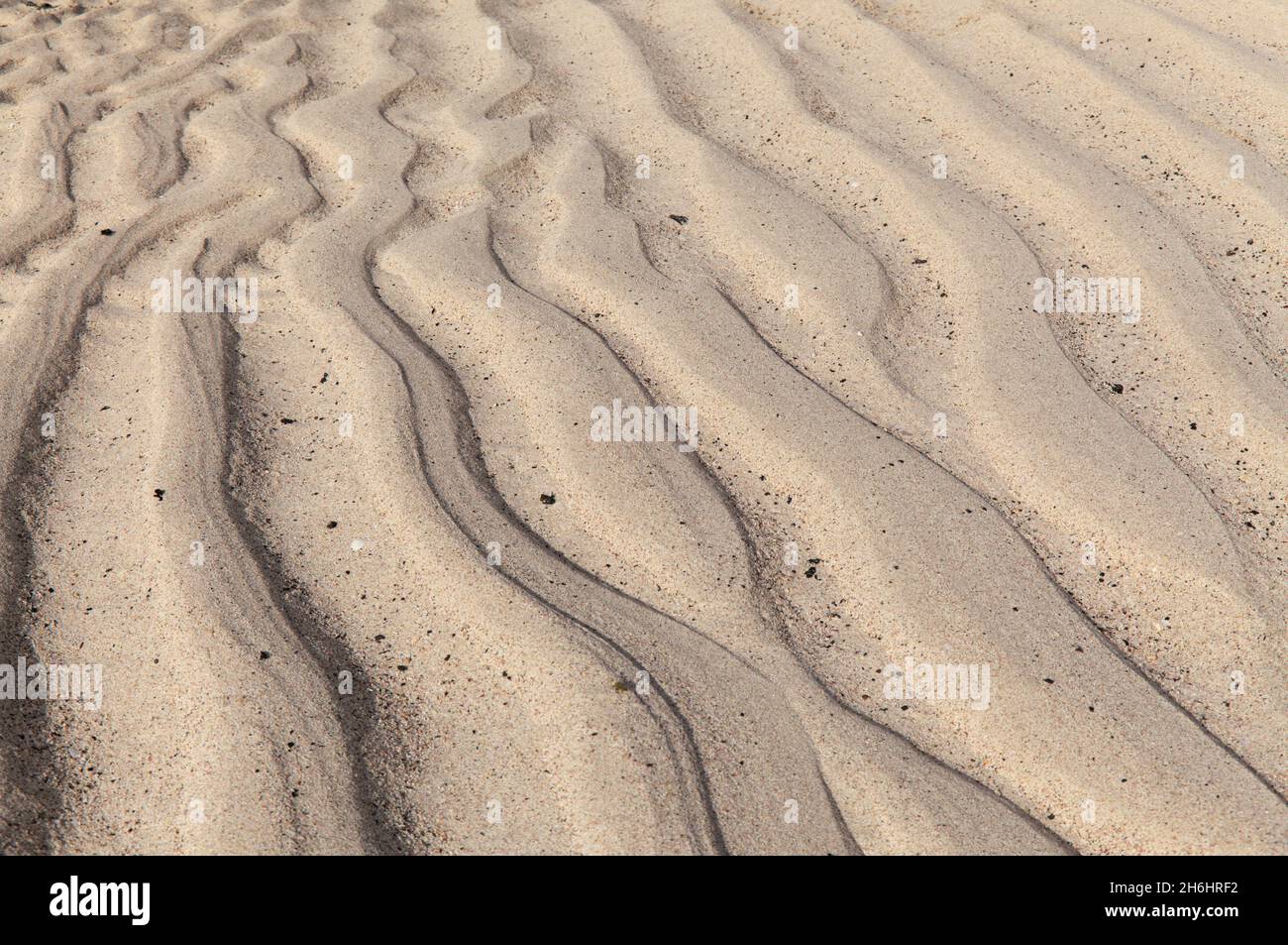 natural sand pattern created by a flow of tide and ripples on the edge ...