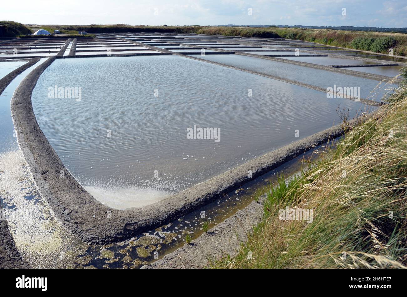 Hay retention hi-res stock photography and images - Alamy