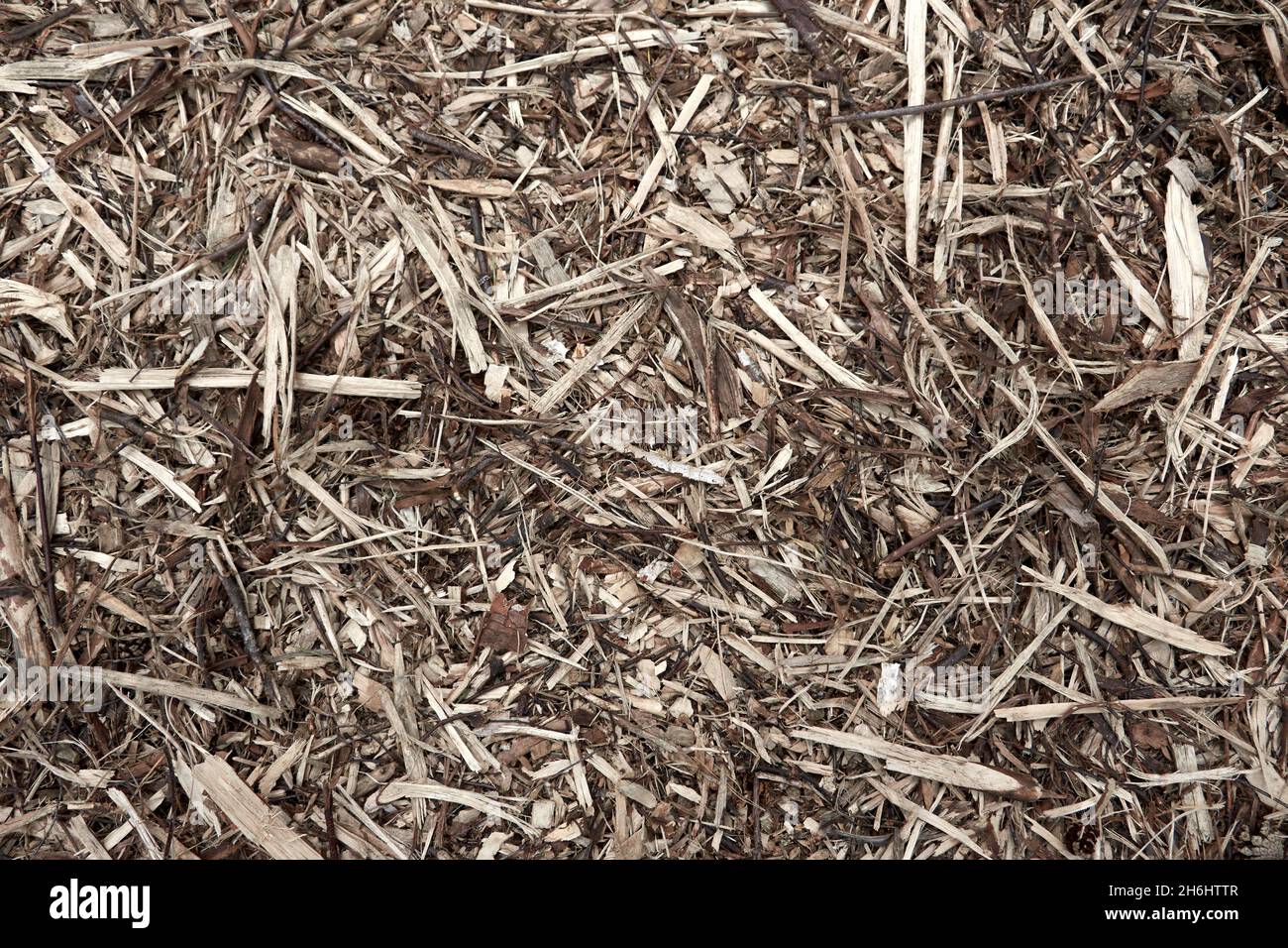 Floor dry hi-res stock photography and images - Alamy