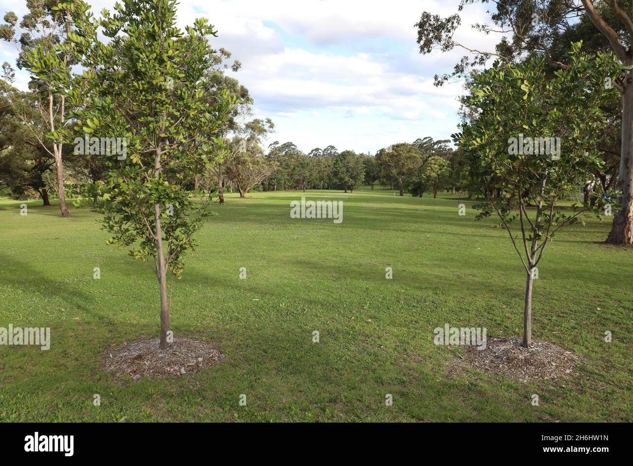 Wicks road hi-res stock photography and images - Alamy