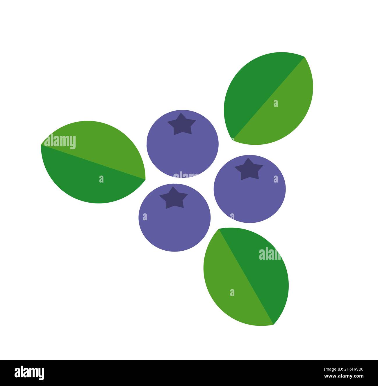 Blueberries, fruit icon. Healthy berries with leaves. Blueberry vector ...