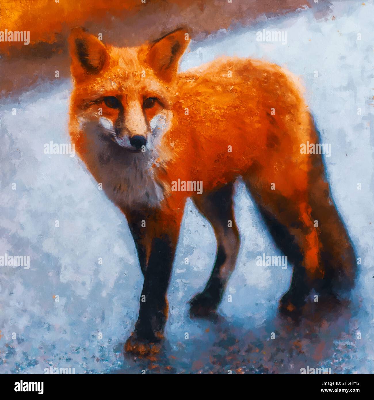 Largest true fox hi-res stock photography and images - Alamy