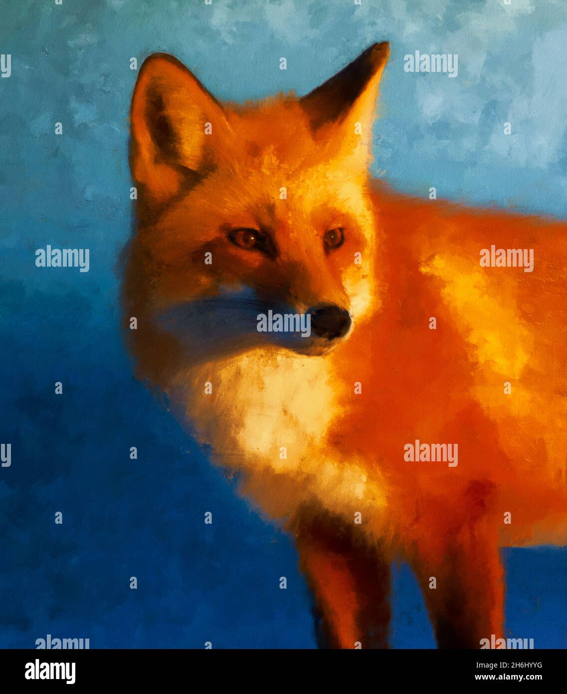 Largest true fox hi-res stock photography and images - Alamy