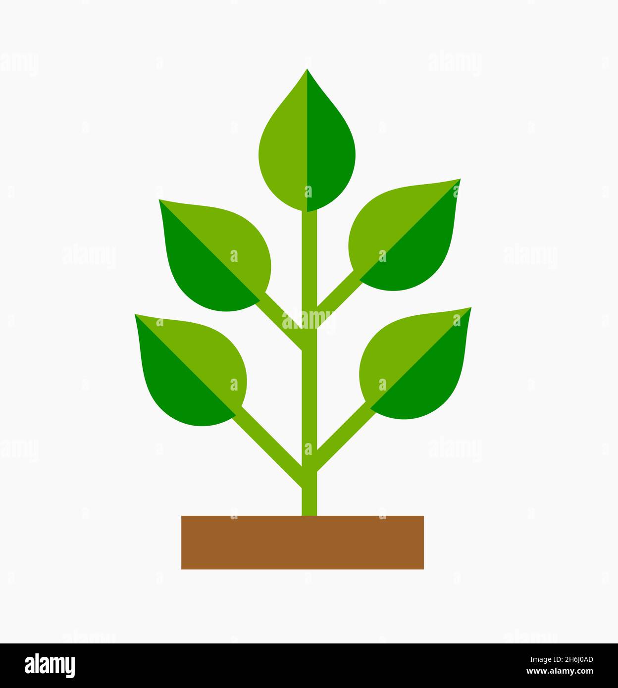 Green plant flat desgin symbol. Plant icon. Vector illustration Stock ...