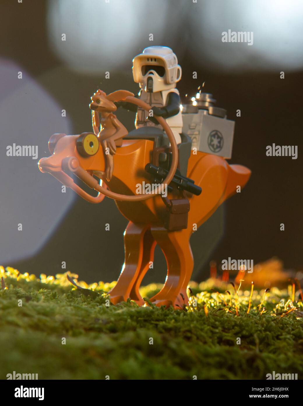 Scout trooper hi-res stock photography and images - Alamy