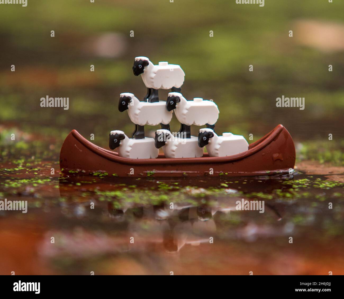 LEGO sheeps swimming on the boat Stock Photo - Alamy