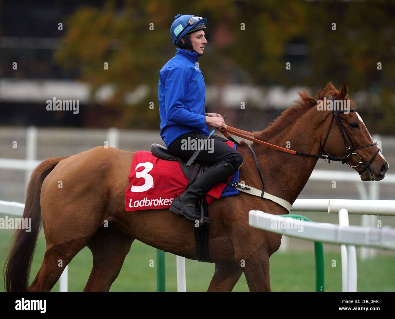 Owned by colin tizzard hi-res stock photography and images - Alamy