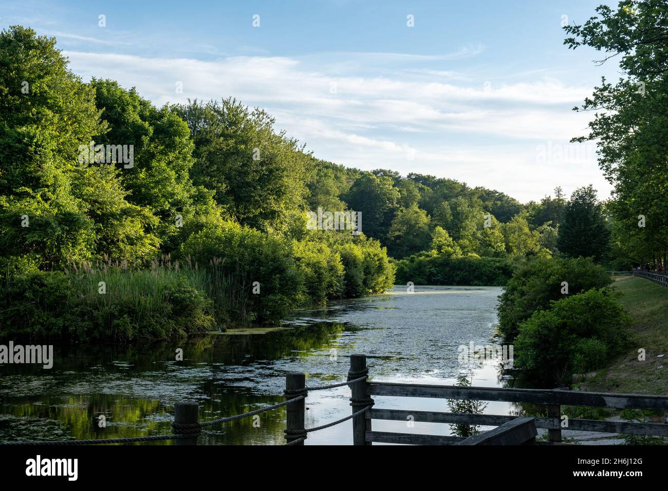 Springfield massachusetts scenic hi-res stock photography and images ...