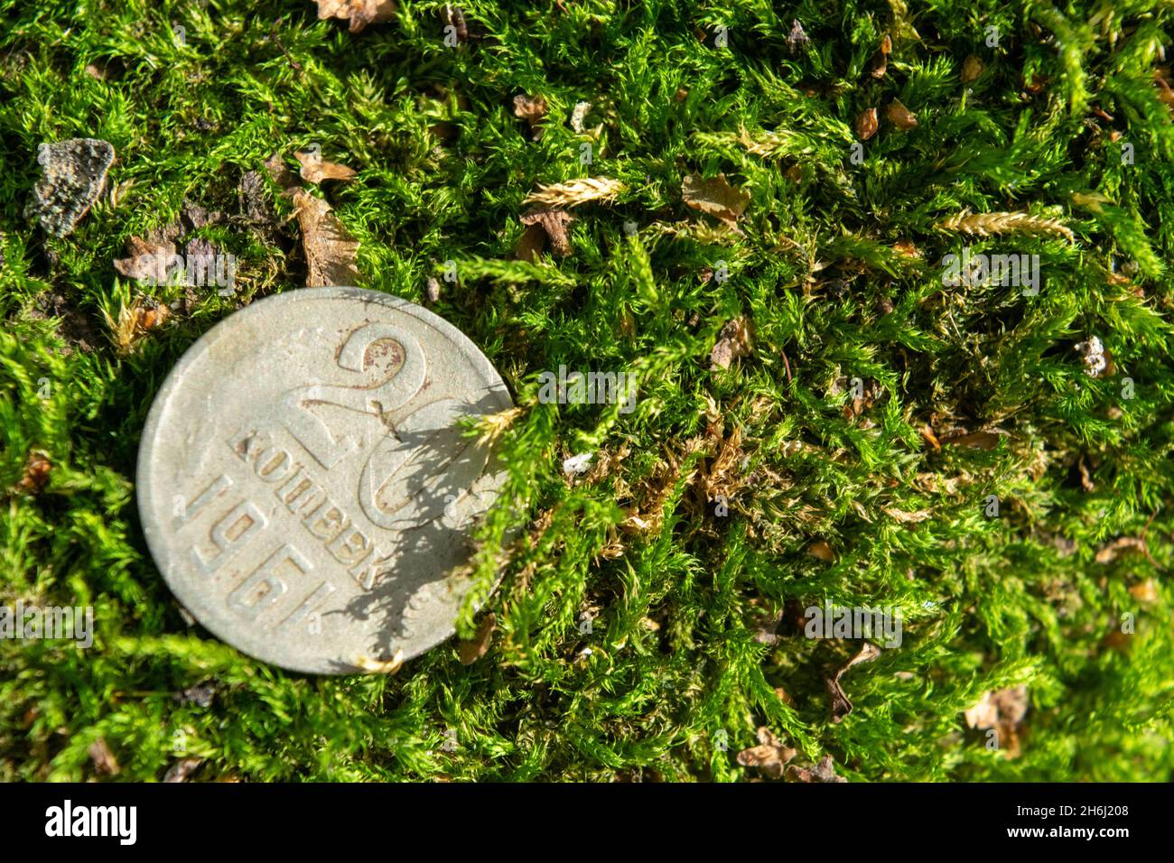 Old coins in the forest on green moss Stock Photo - Alamy